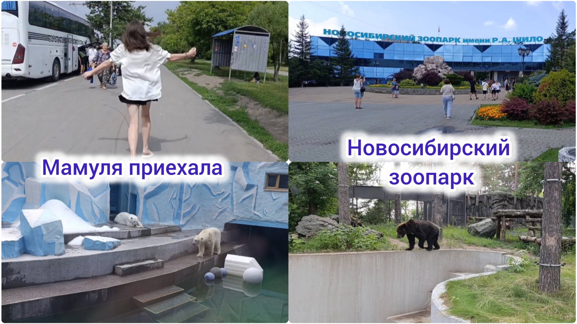 Влог: Мамуля приехала в гости 🏠💃Зоопарк Новосибирск 🦁.