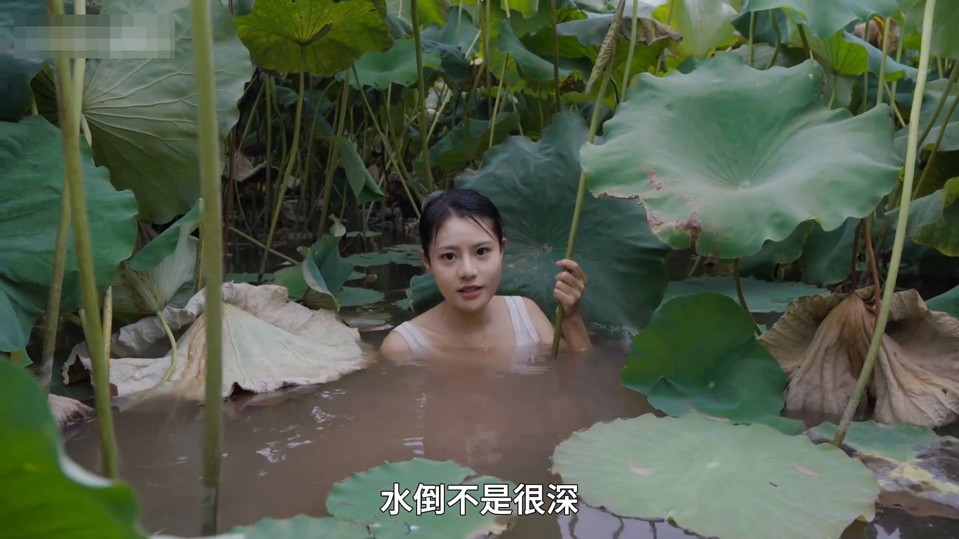 Пин Мэй - Летняя закуска для аппетита — маринованные стебли лотоса в уксусе