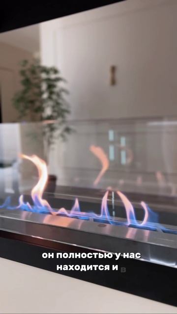 Отзыв на сквозной биокамин ZEFIRE от дизайнера интерьеров