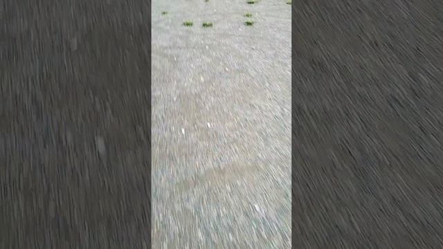 школа