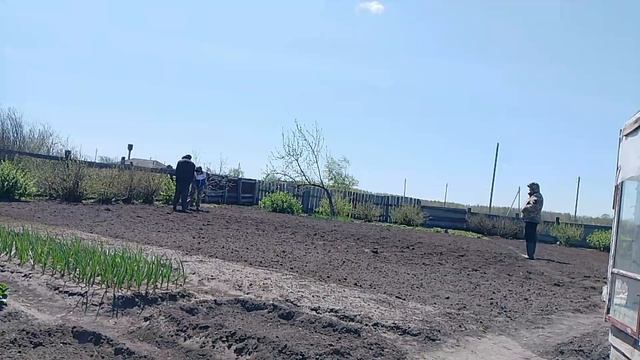 Садим картошку