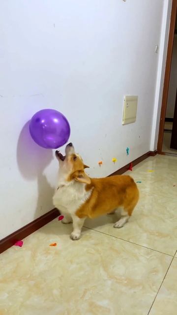 это нам ненадо