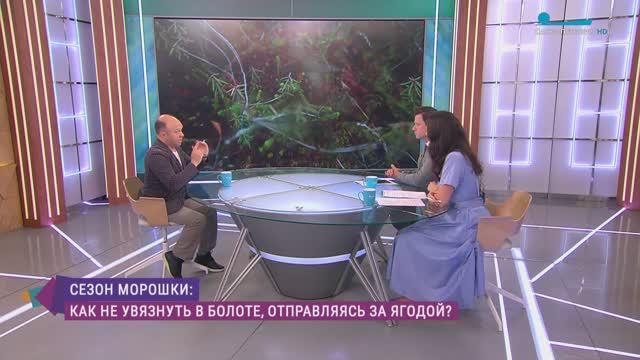 Сезон морошки. Как не увязнуть в болоте, отправляясь за ягодой?