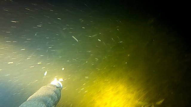 Прерванный ужин