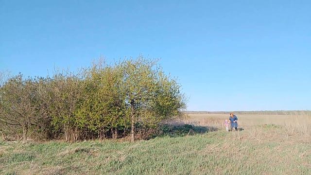 Улица и место где был дом прабабушки моей