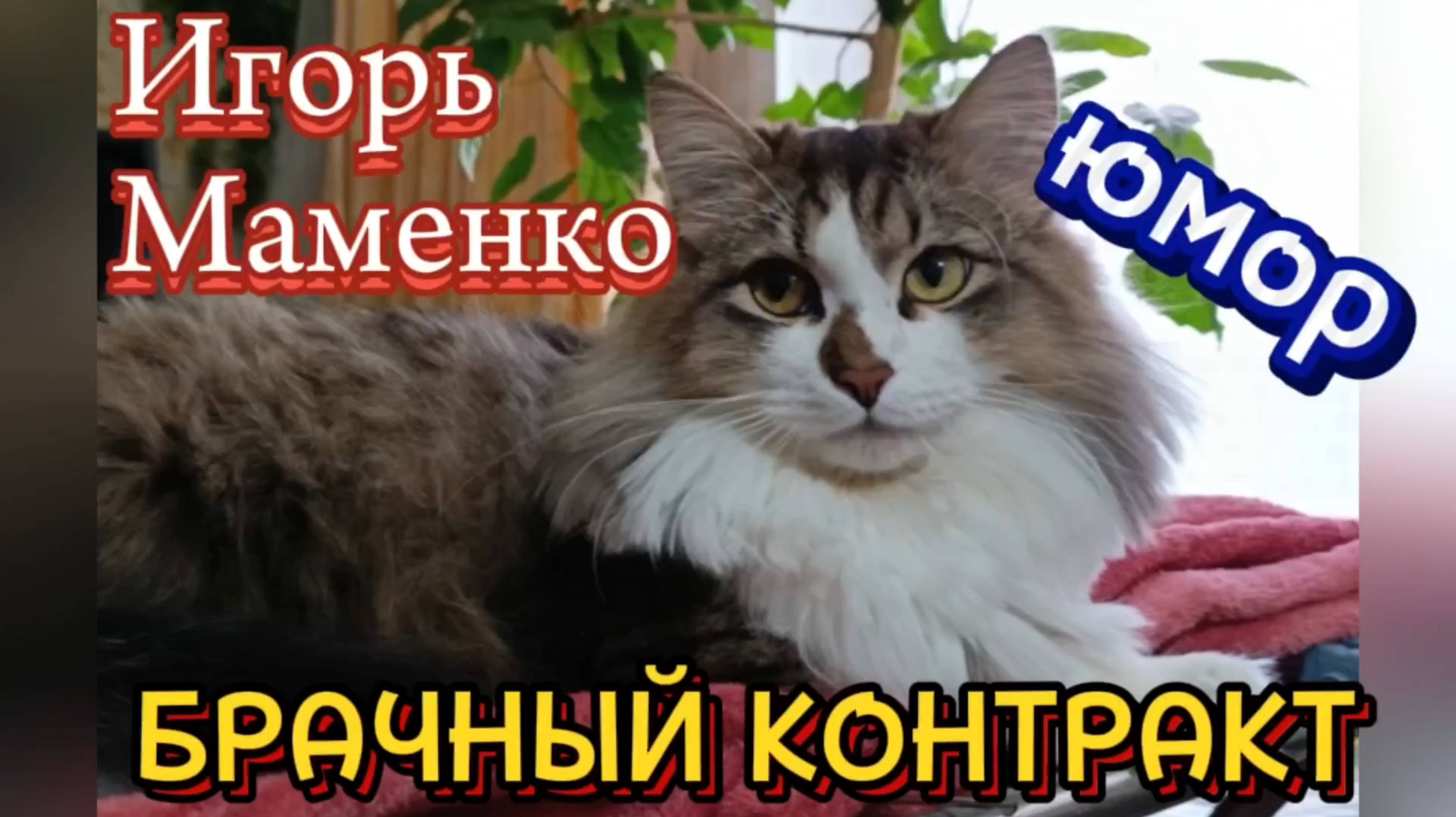 Игорь Маменко лучшее.