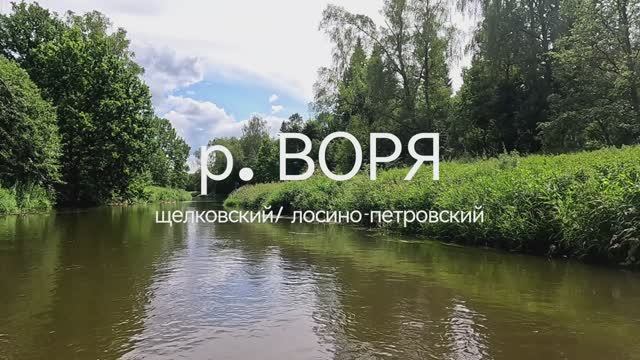 Река Воря Московская область
 на сапах