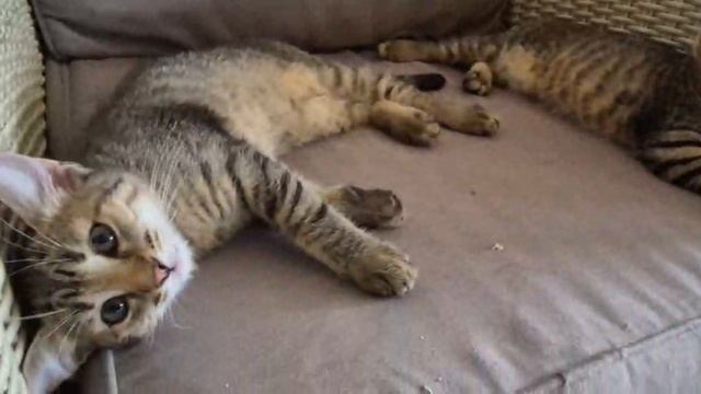 FILE 2025-07-15 14:25:32