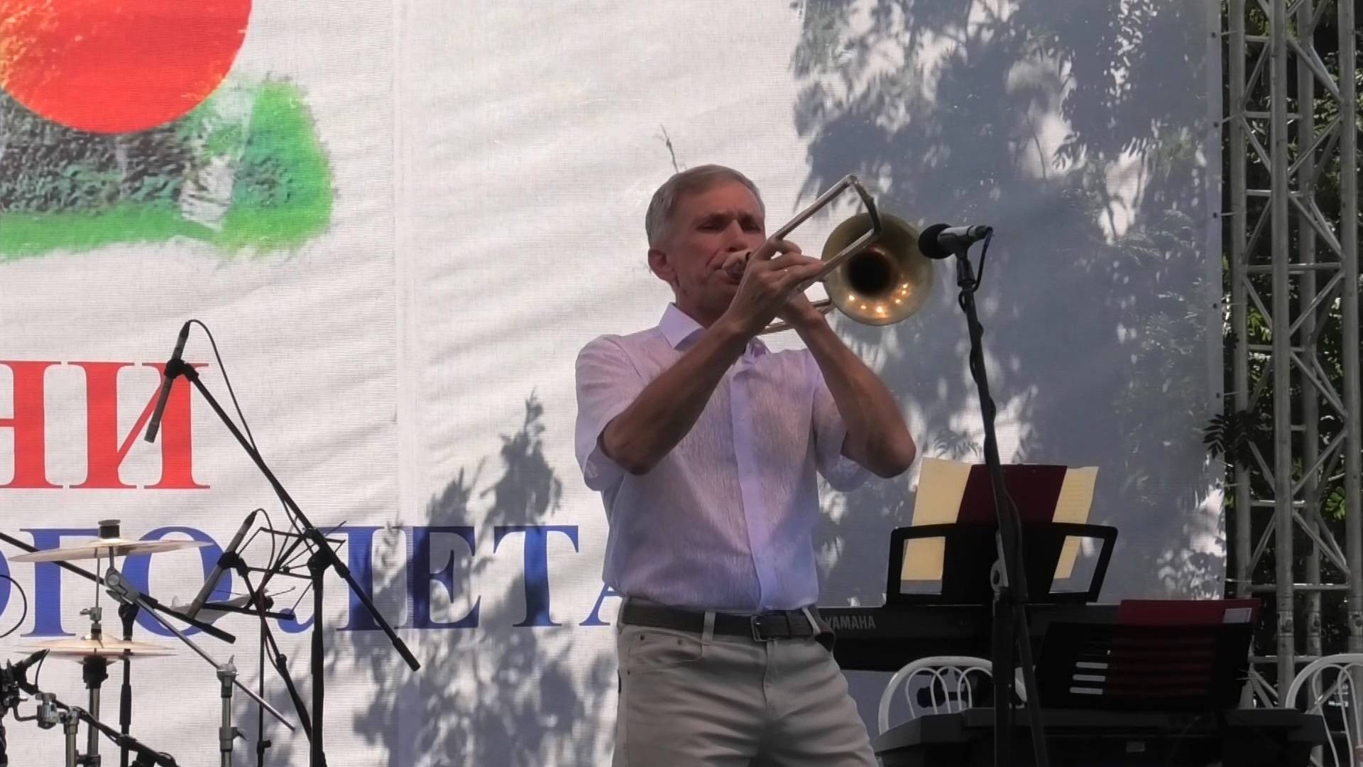 "Очумелая муха"-Г.Городилов