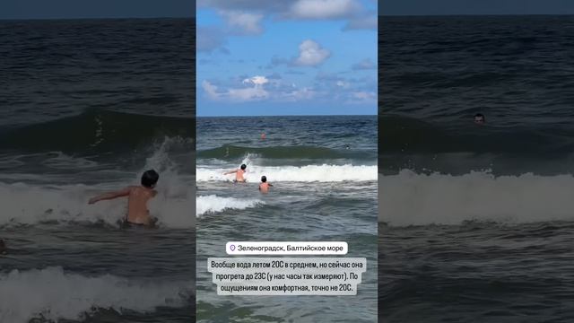 Зеленоградск - город котиков . Калининградская область 2024