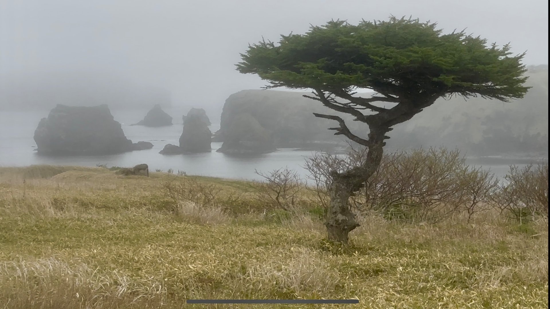 Бухта Маячная (Солдатка). Лагерь. День 4. Остров Шикотан Курильские острова 29.05.25