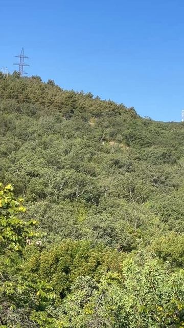 Южный берег Крыма, шум цикад - просто зашкаливает. Посёлок Сатера.