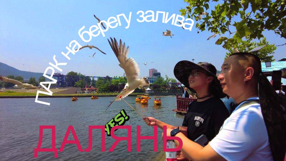 ДАЛЯНЬ.ПТИЧИЙ ЛЕС и МОРСКОЙ парк Лаохутань