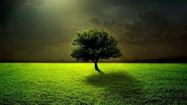 !!! LK Золотая лира -поэзия Людмила  Кичигиной музыка Александра Страцевского   читает  автор .2020г