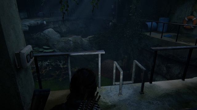 The Last of Us Part II. #18 Последний из нас. Часть II (18-я миссия)