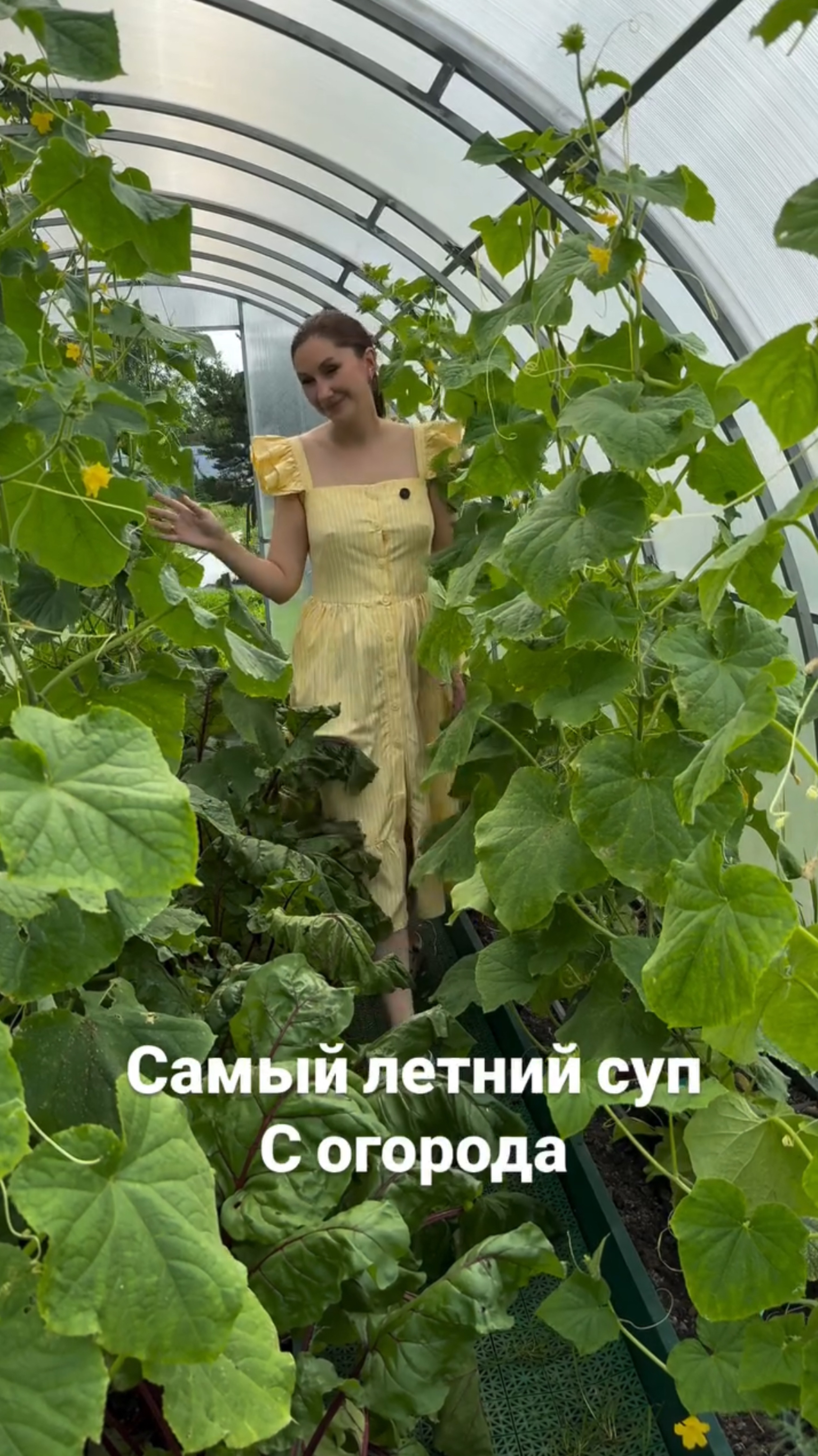 Готовим самый летний суп со своего огорода
Холодник