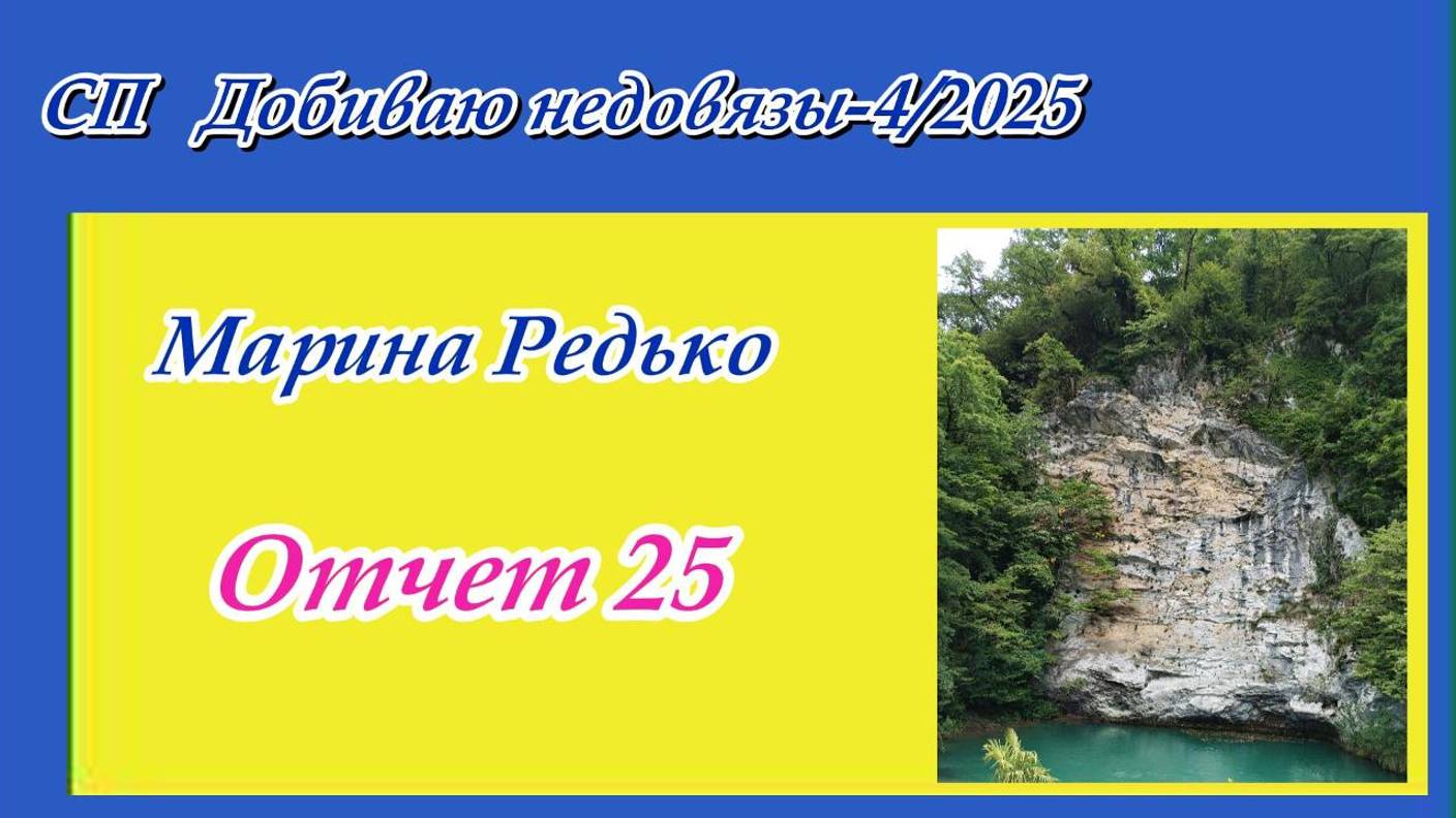 СП "Добиваю недовязы 4/2025" / Отчет 25