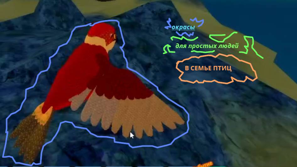 окрасы для простых людей в семья птиц