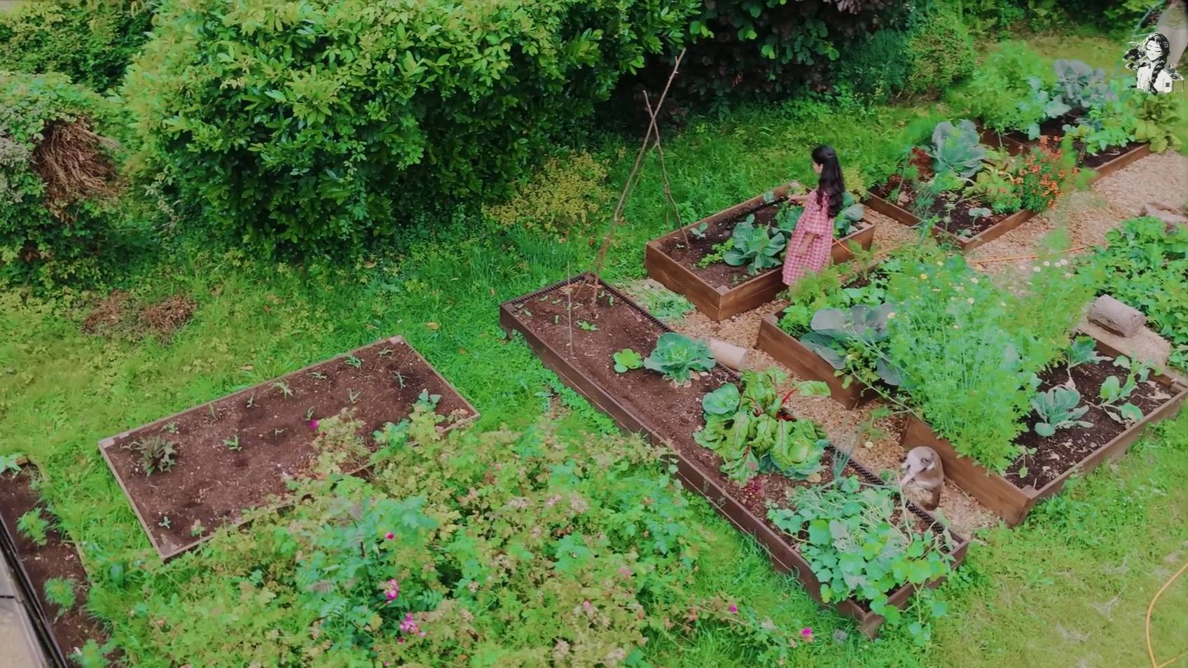 Her 86m2 #176 Жизнь Ghibli в сельской местности Германии ｜ Июньский урожай, редис