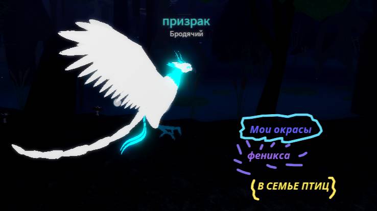 мои окрасы на феникса в семье птиц