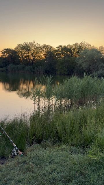 Мой июльский выходной. Рыбалка