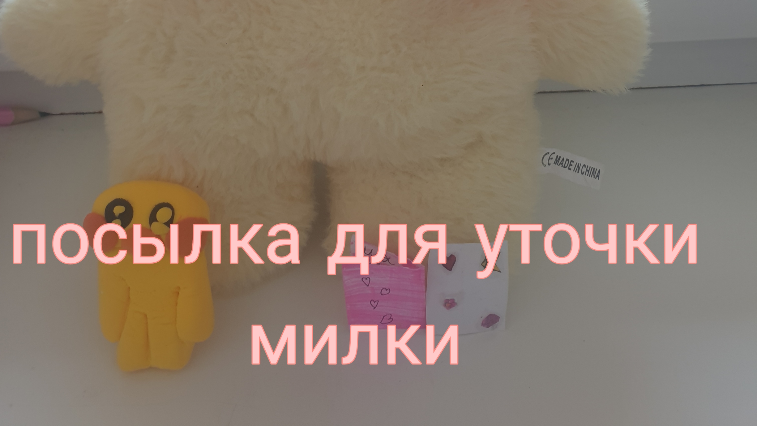 посылка для уточки милки что там?