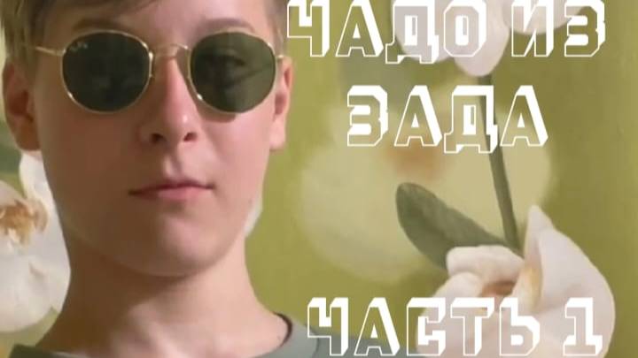 "ЧАДО ИЗ ЗАДА" | часть 1