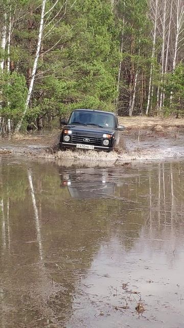 Нива плывет по затопленному полю