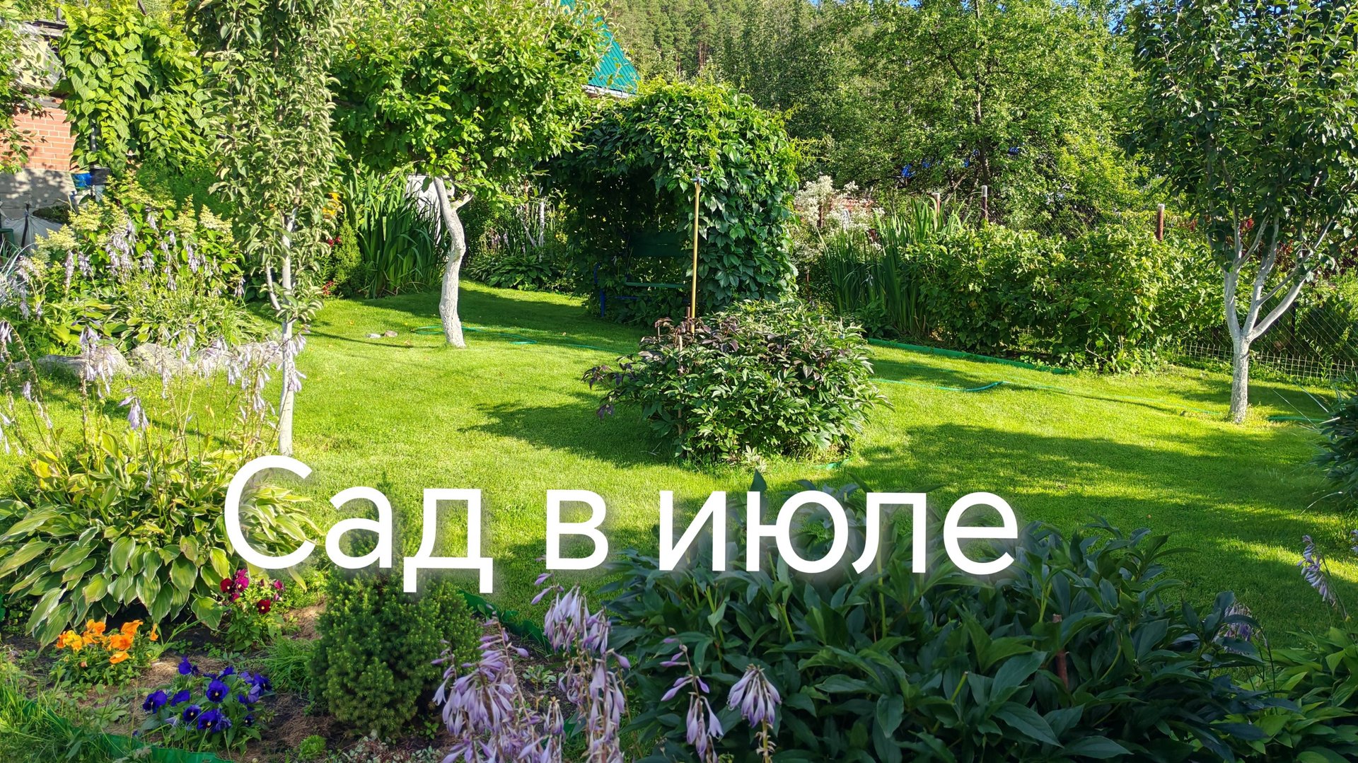 Сад. Июль. 16.07.2025