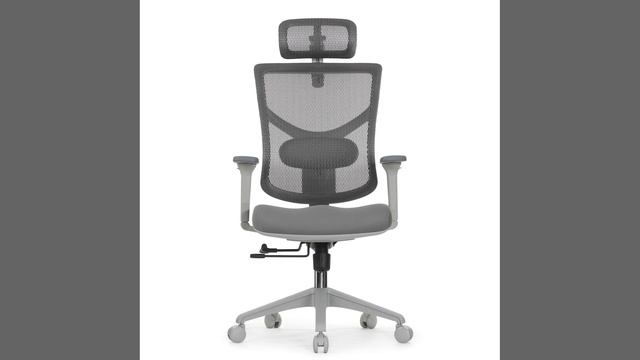 Эргономичное кресло для дома и офиса Falto Star Office Ergo 3