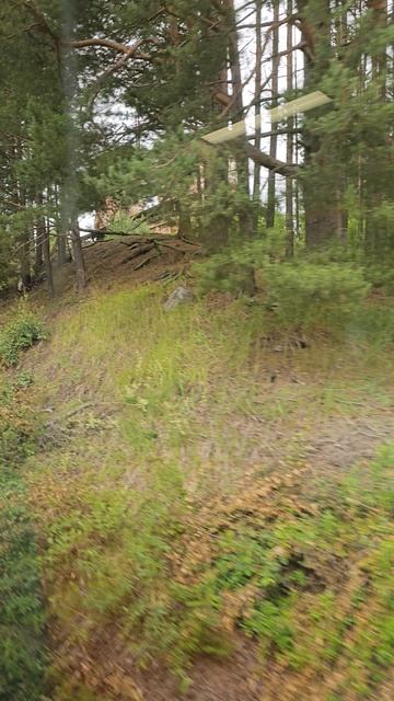 Лодейное поле - Питкяранта. Lodeynoye Pole - Pitkyaranta