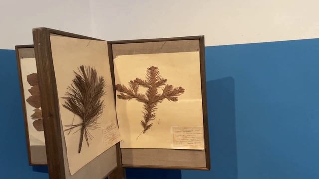 Город Талица. Здание Лесной школы