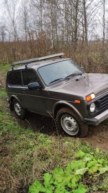 Маленькая Нива vs большая яма