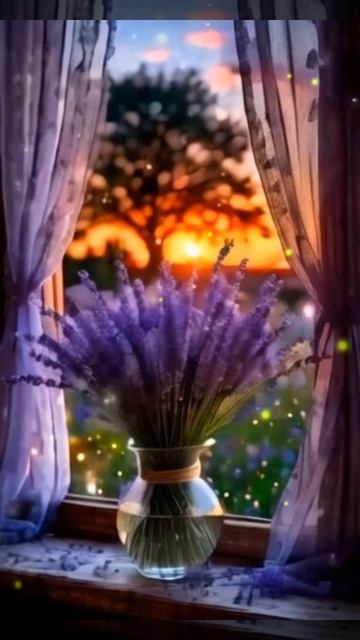 ❤️ Доброго и уютного вечера!