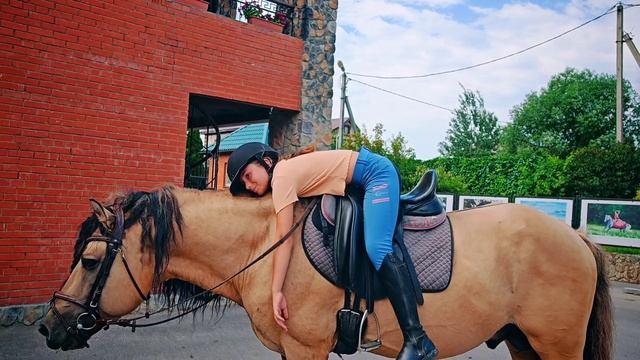 Возрождение вятской породы