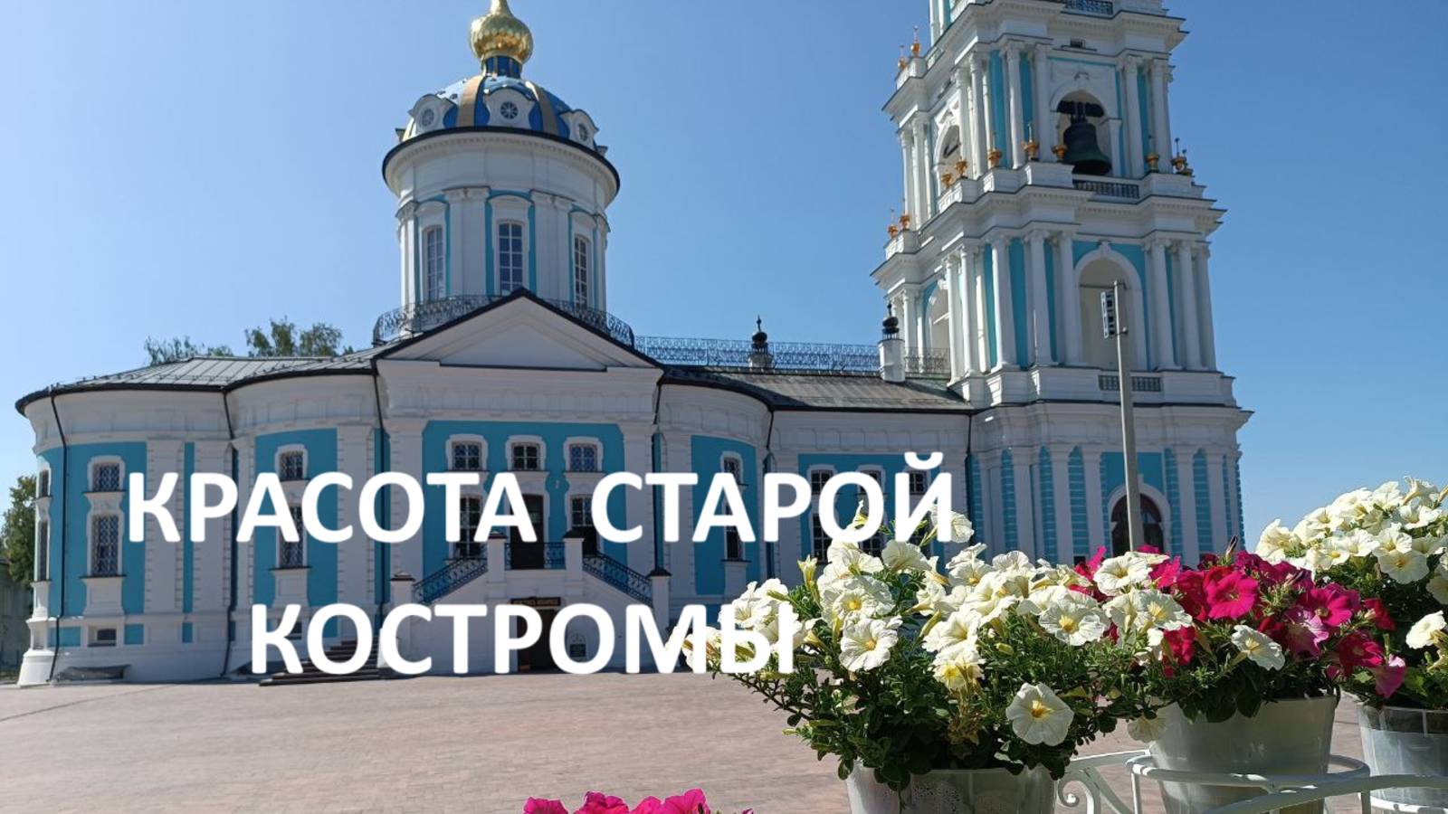 Летняя красота старой Костромы//памятник котам//Костромской Кремль и его шикарные клумбы.