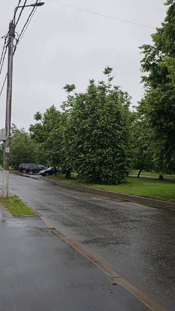 Лодейное поле. Lodeynoye Pole