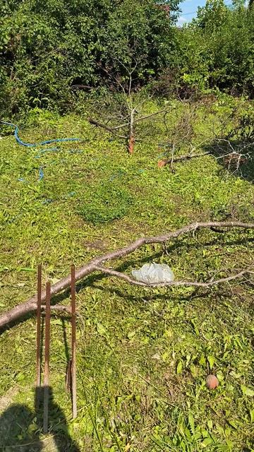 Уборка участка после)