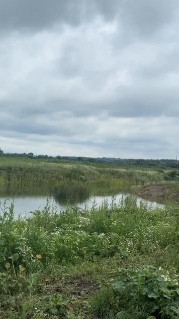 Обзор от ветрогенератора