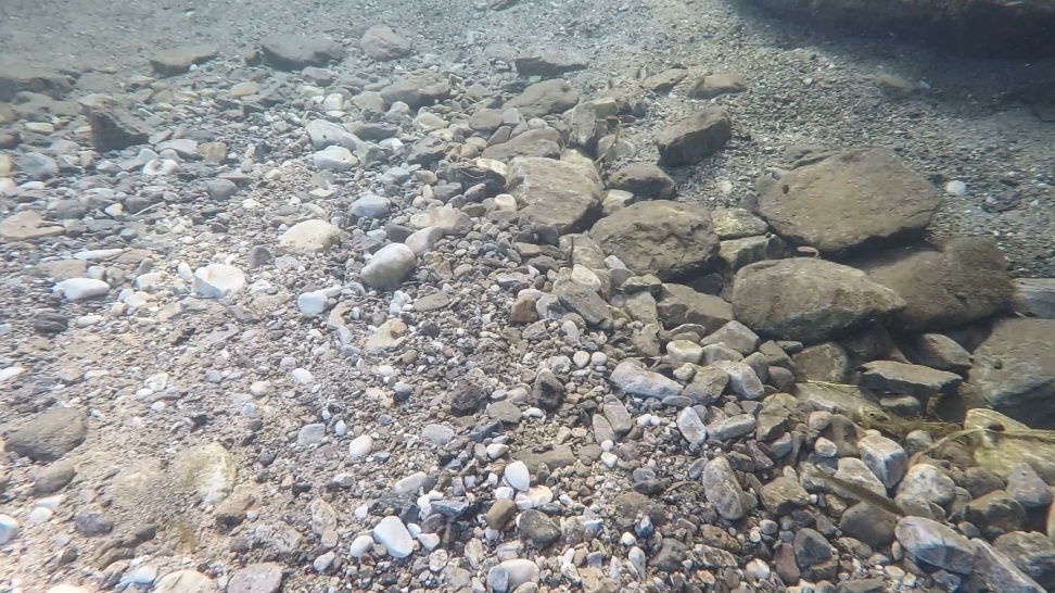 Погружение в подводный мир, звуки волн ,шум океана, танцы рыбок.