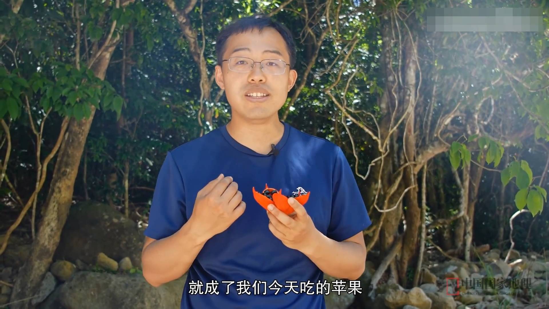 Национальный парк тропических лесов Хайнань — это тропический лес Китая