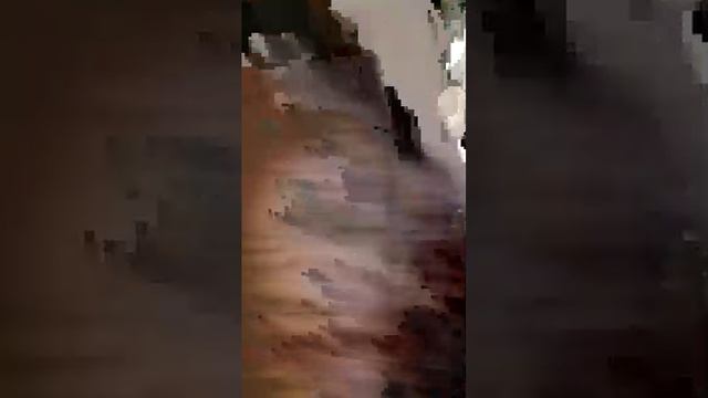 Александр Сергеевич Пушкин у Лукоморья дуб срубили