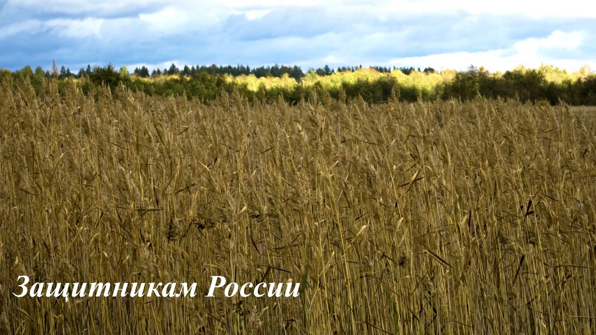 Защитникам отечества