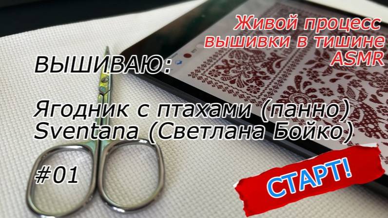 ASMR. Живой процесс вышивки. Новый старт! Ягодник с птахами, Sventana | 01/004
