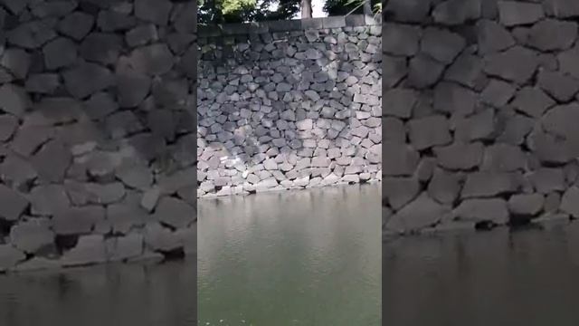 Путешествие без знания английского. Япония. Токио. Район Тиёда. День 3. Императорский дворец (1)