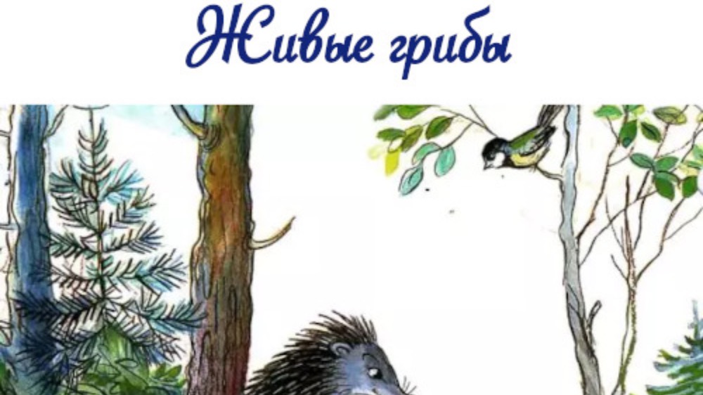 Живые грибы В.Сутеев