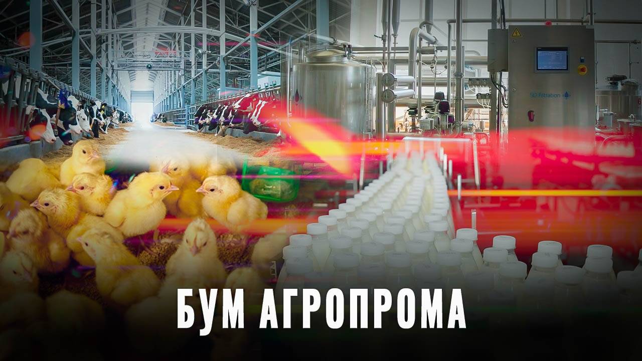 Тихая революция: Россия запускает новый агропром