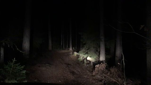 Дорога у Видовой площадки на реке Нерская