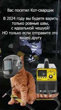 Не забудь поделиться, а то не сработает 🤞 #юмор #сварка #welding #котик