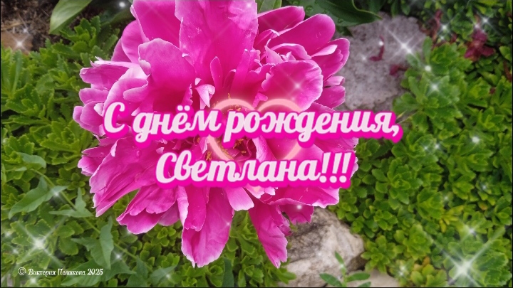 С днём рождения, Светлана! Самое красивое поздравление для Светланы © Виктория Полшкова 2025